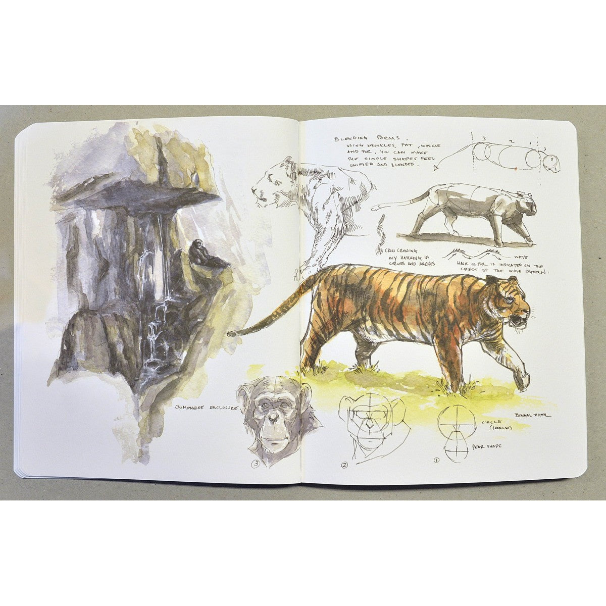 Peter Han Dynamic Bible Hardcover – LabyrinthBooks